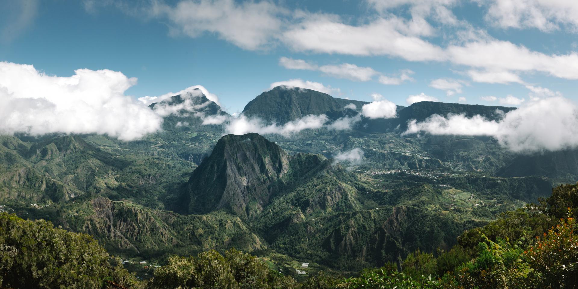 Bélouve, la forêt primaire | Vivez une expérience unique à La Réunion