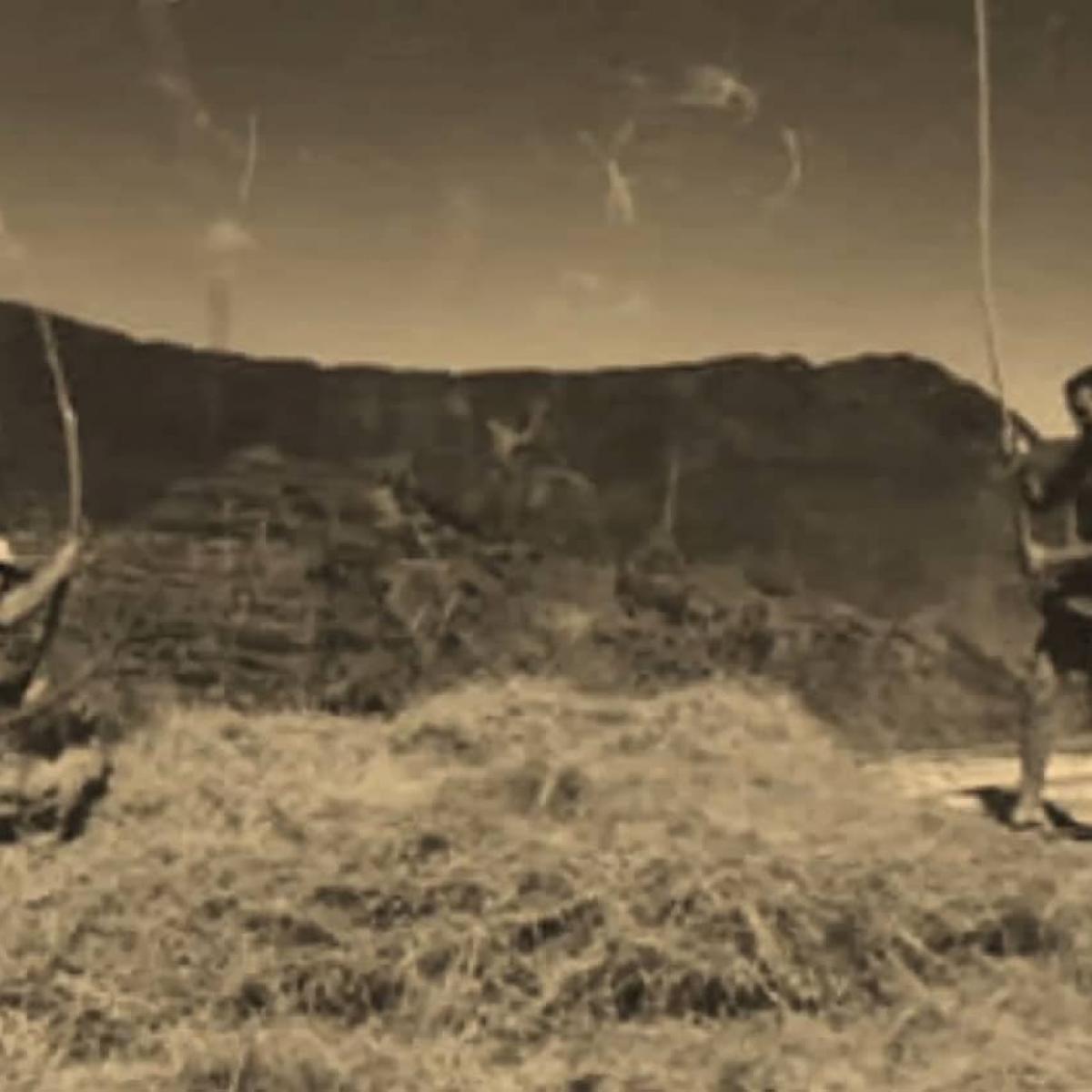 Tropicbird of Reunion Island: an iconic bird