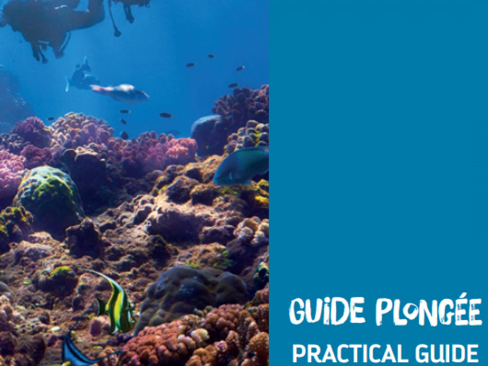 Brochures | Île de la Réunion Tourisme