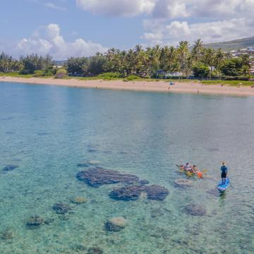 Balade en kayak transparent et Paddle sur le lagon | Vivez une ...
