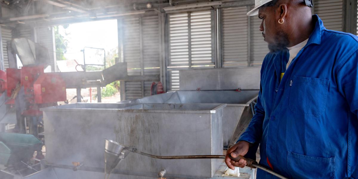 Les secrets du galabé peï | Île de la Réunion Tourisme