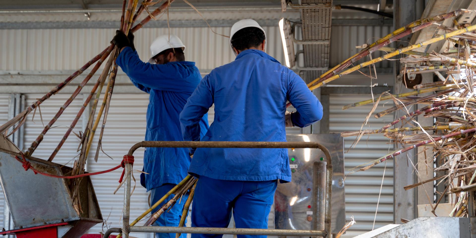 Les secrets du galabé peï | Île de la Réunion Tourisme