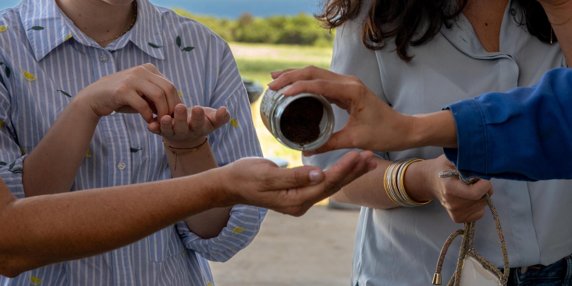 Les secrets du galabé peï | Île de la Réunion Tourisme