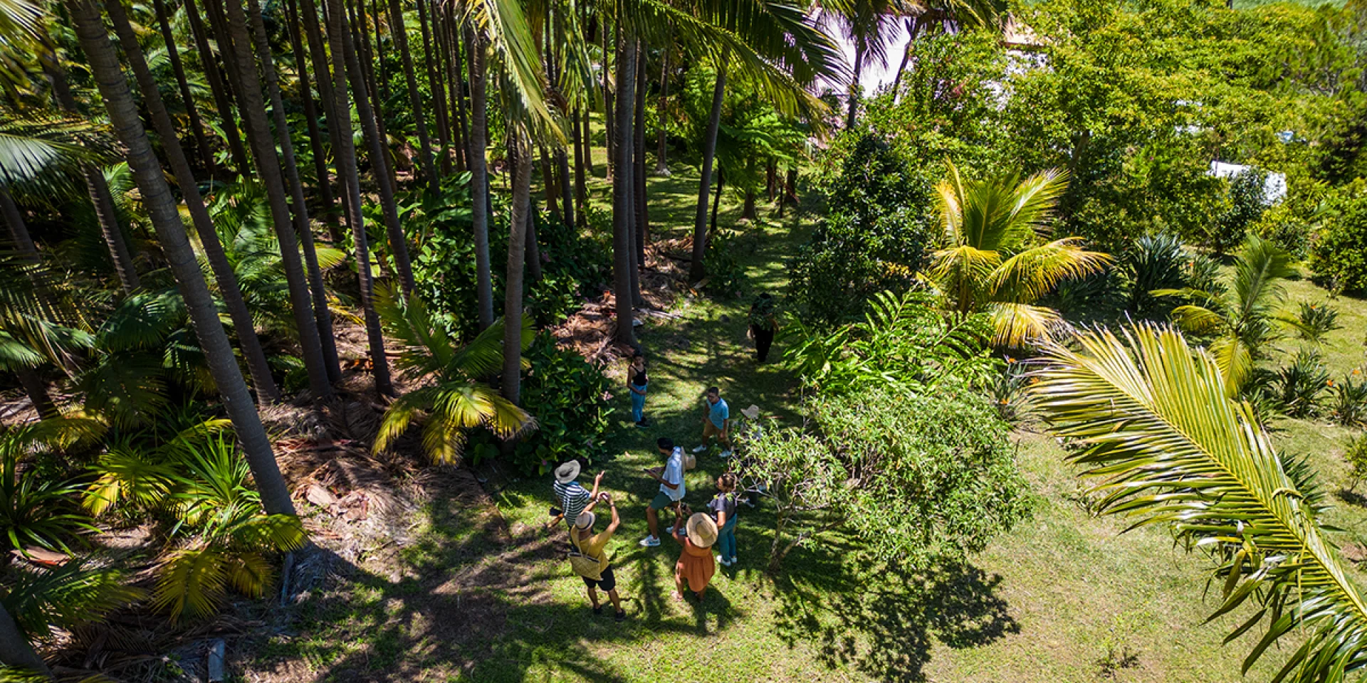 L’Ilet aux palmistes : une immersion gourmande à La Réunion | Vivez une ...