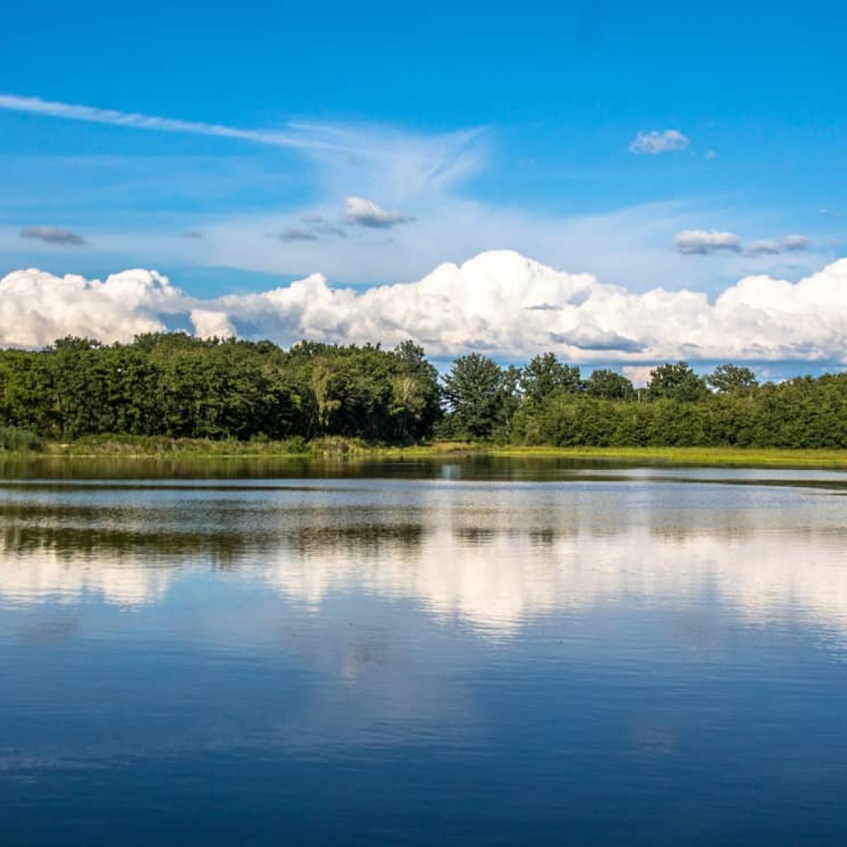 La Dombes, Terre d’étangs | Dombes Tourisme – Office de Tourisme