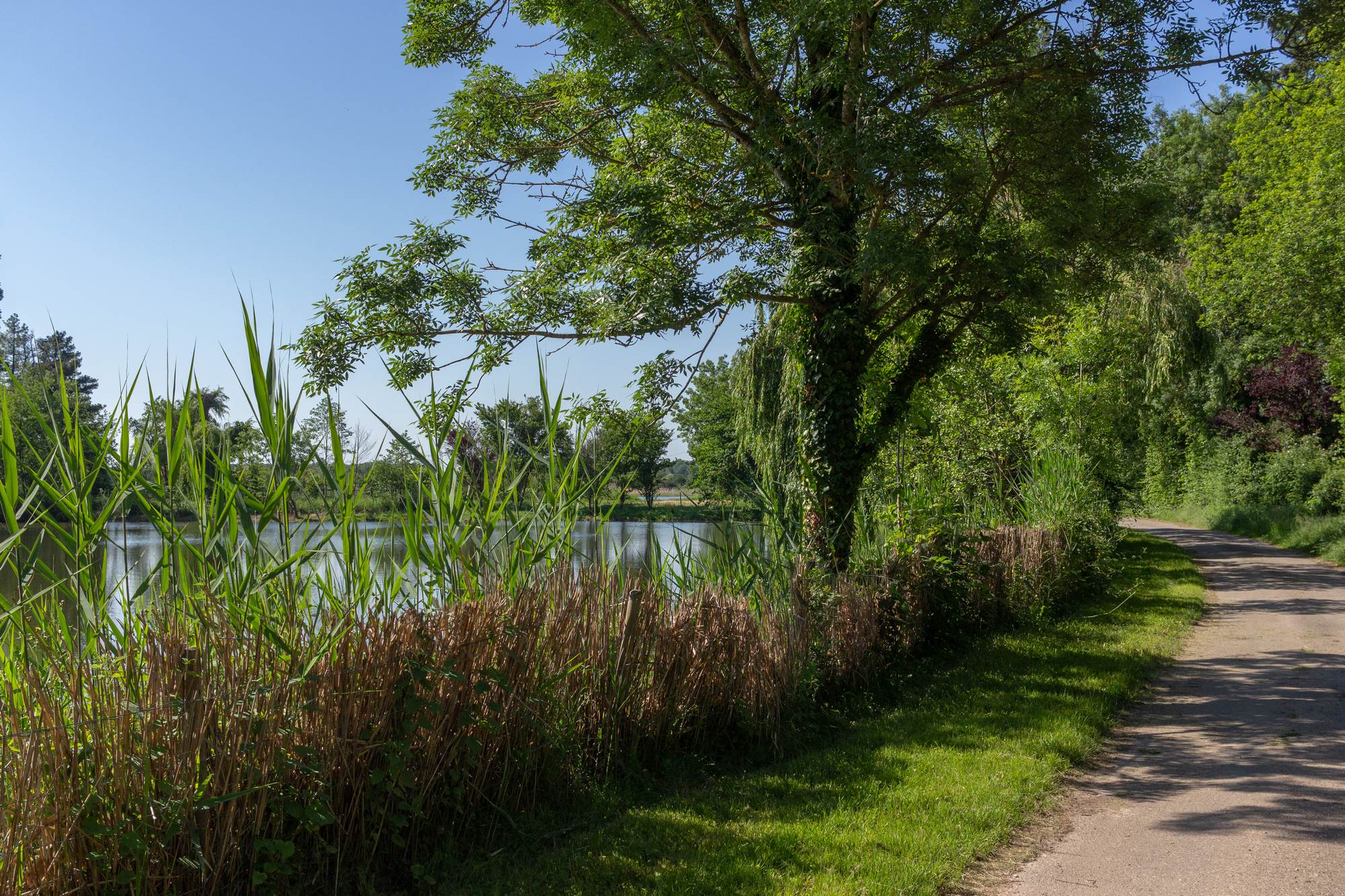 Espace Presse | Dombes Tourisme – Office de Tourisme