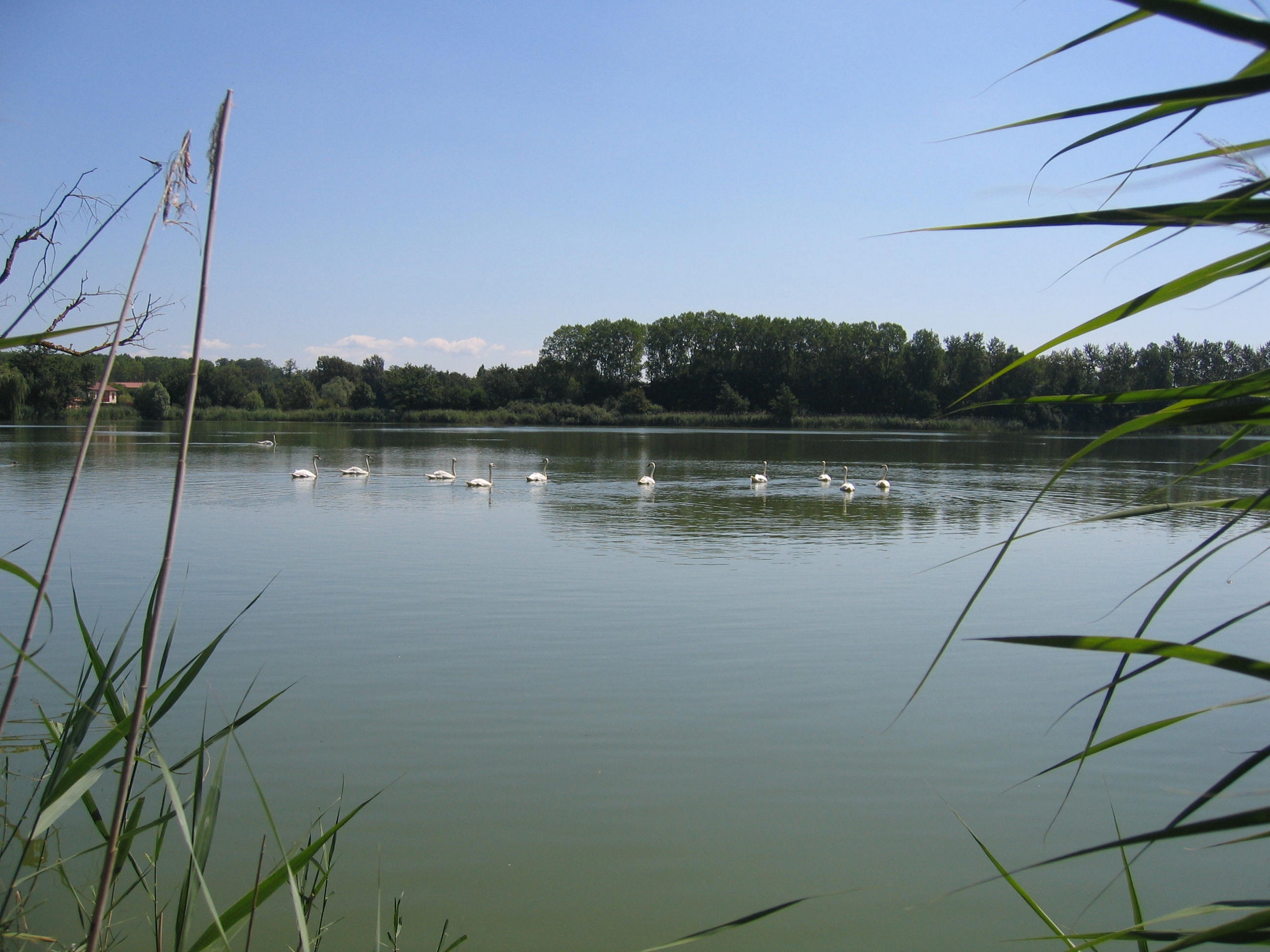 Espace Presse | Dombes Tourisme – Office de Tourisme