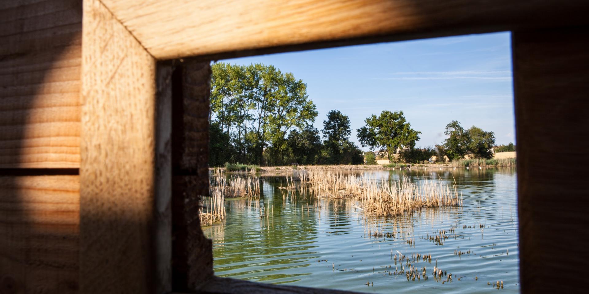 Les étangs ENS | Dombes Tourisme – Office de Tourisme