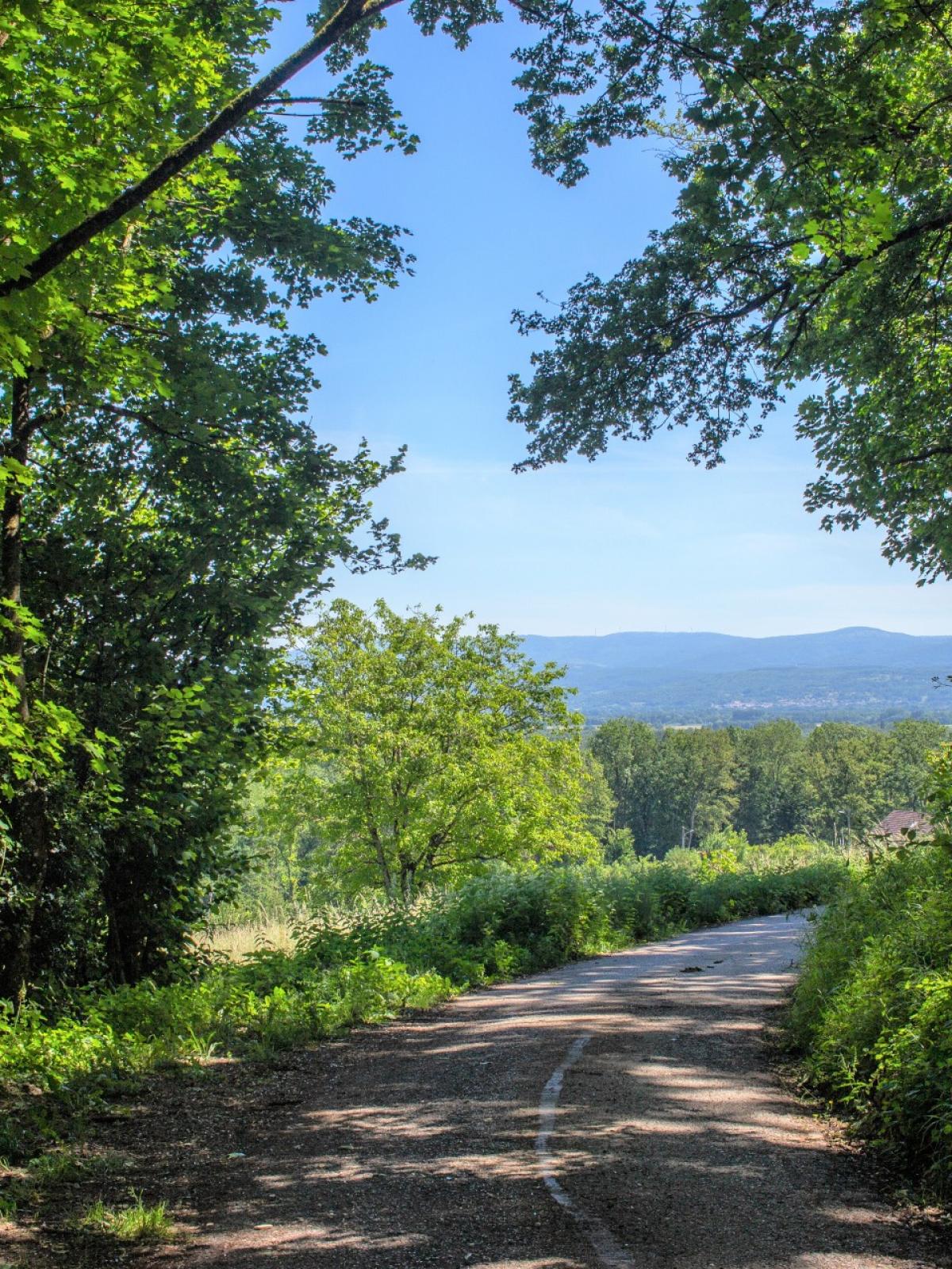 Bienvenue ! | Dombes Tourisme – Office de Tourisme
