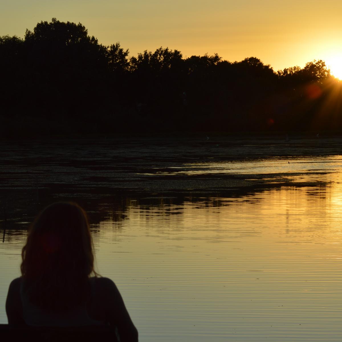 La Dombes, Terre d’étangs | Dombes Tourisme – Office de Tourisme