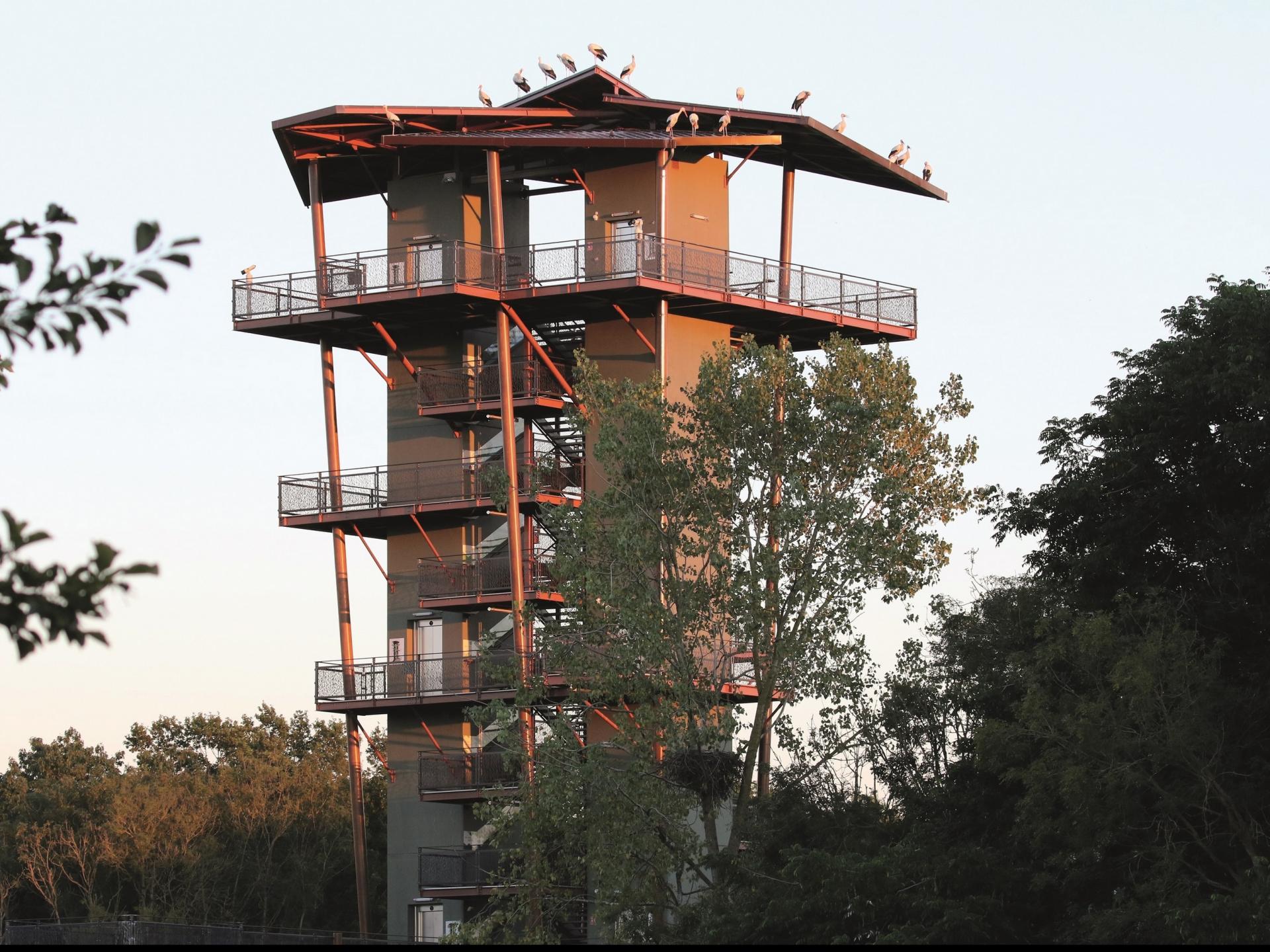Le Parc des Oiseaux en Dombes
