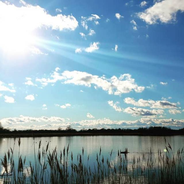 Bienvenue ! | Dombes Tourisme - Office de Tourisme de la Dombes