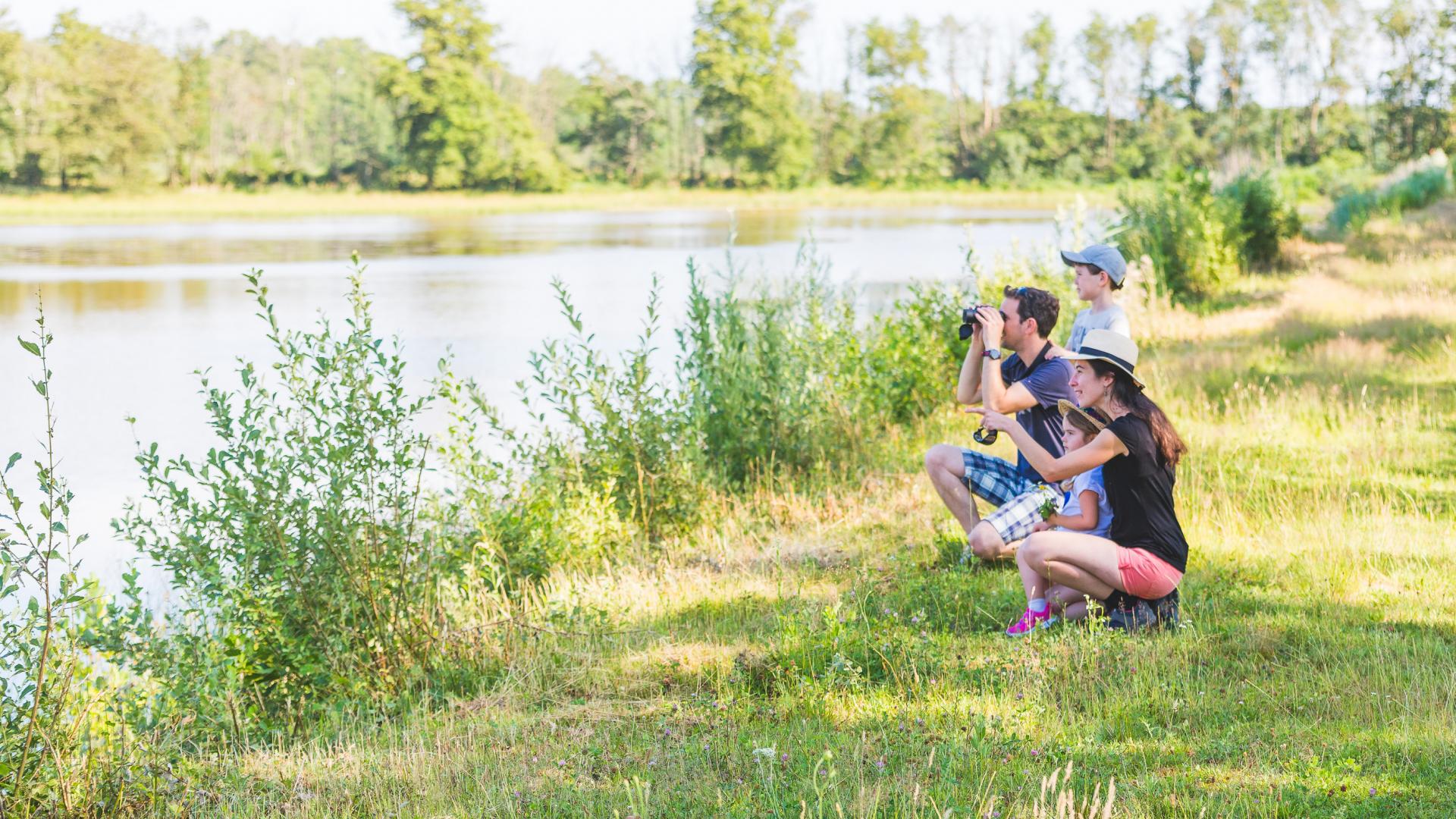 Le Parc des Oiseaux en Dombes