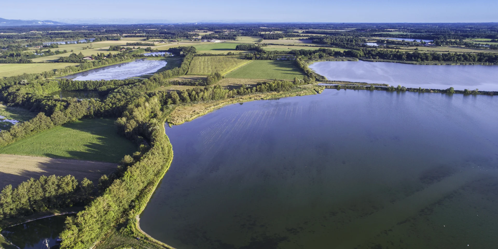 La Dombes labellisée RAMSAR | Dombes Tourisme – Office de Tourisme