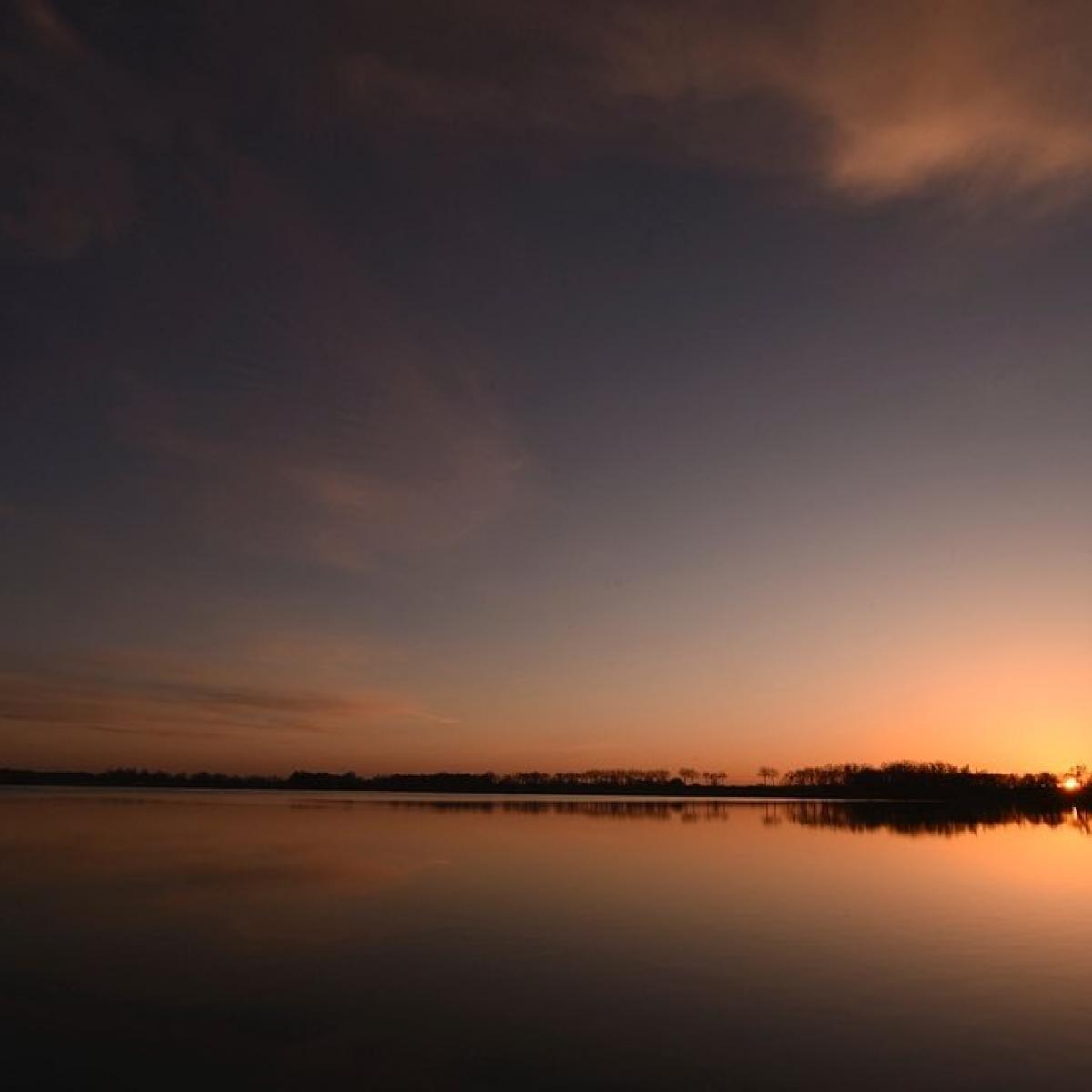 Homepage EN | Dombes Tourisme - Office de Tourisme de la Dombes