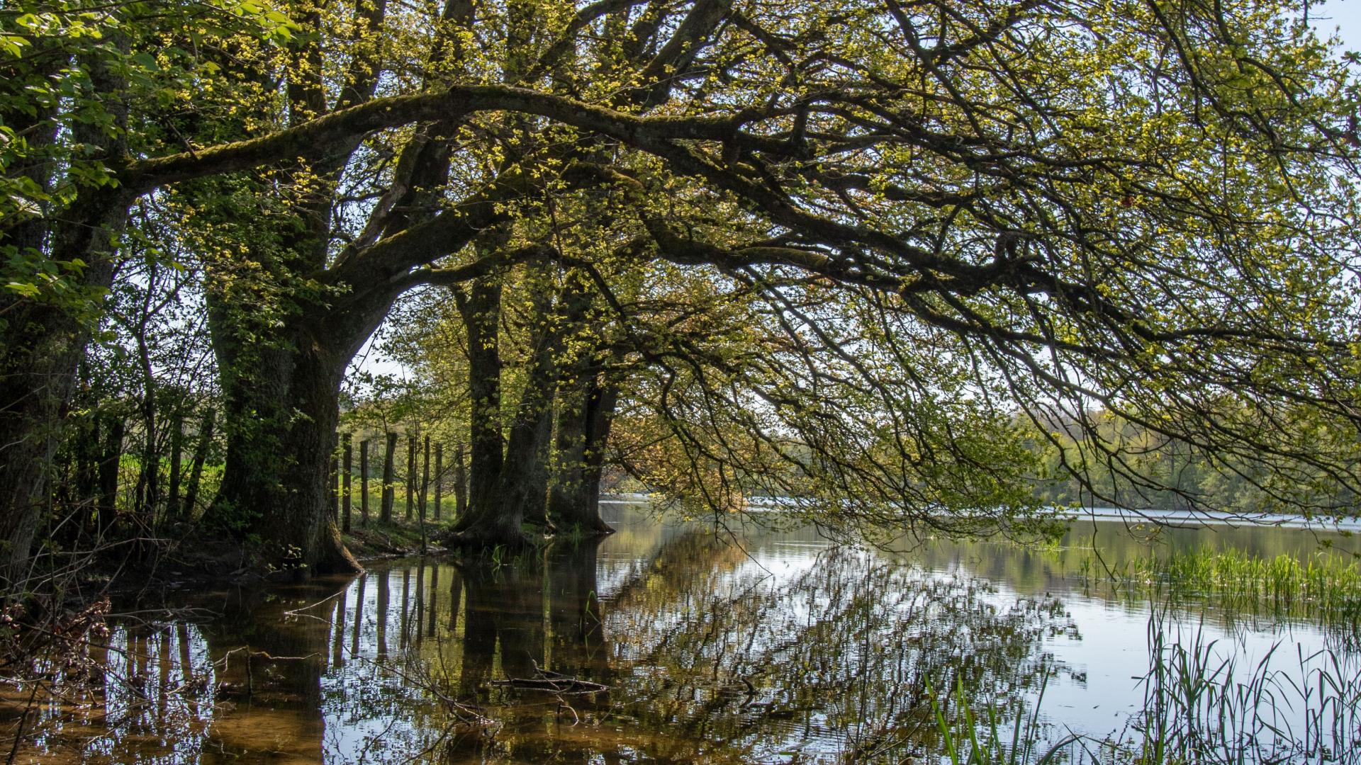 Brochures | Dombes Tourisme – Office de Tourisme