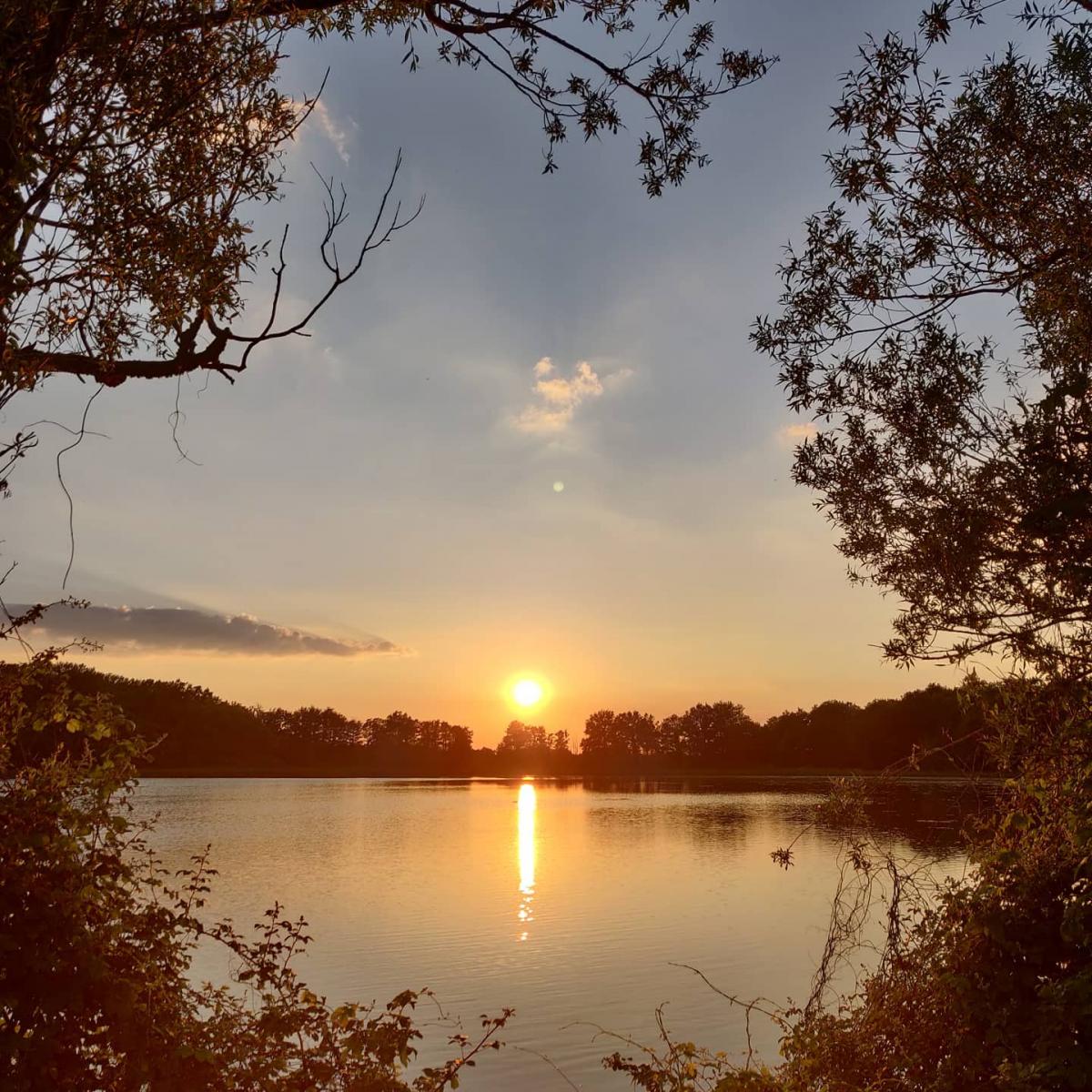 Bienvenue ! | Dombes Tourisme - Office de Tourisme de la Dombes