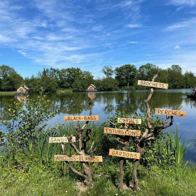 Bienvenue ! | Dombes Tourisme - Office de Tourisme de la Dombes