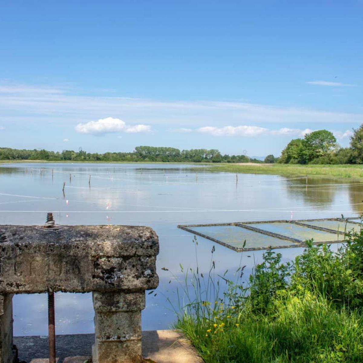 Bienvenue ! | Dombes Tourisme - Office de Tourisme de la Dombes