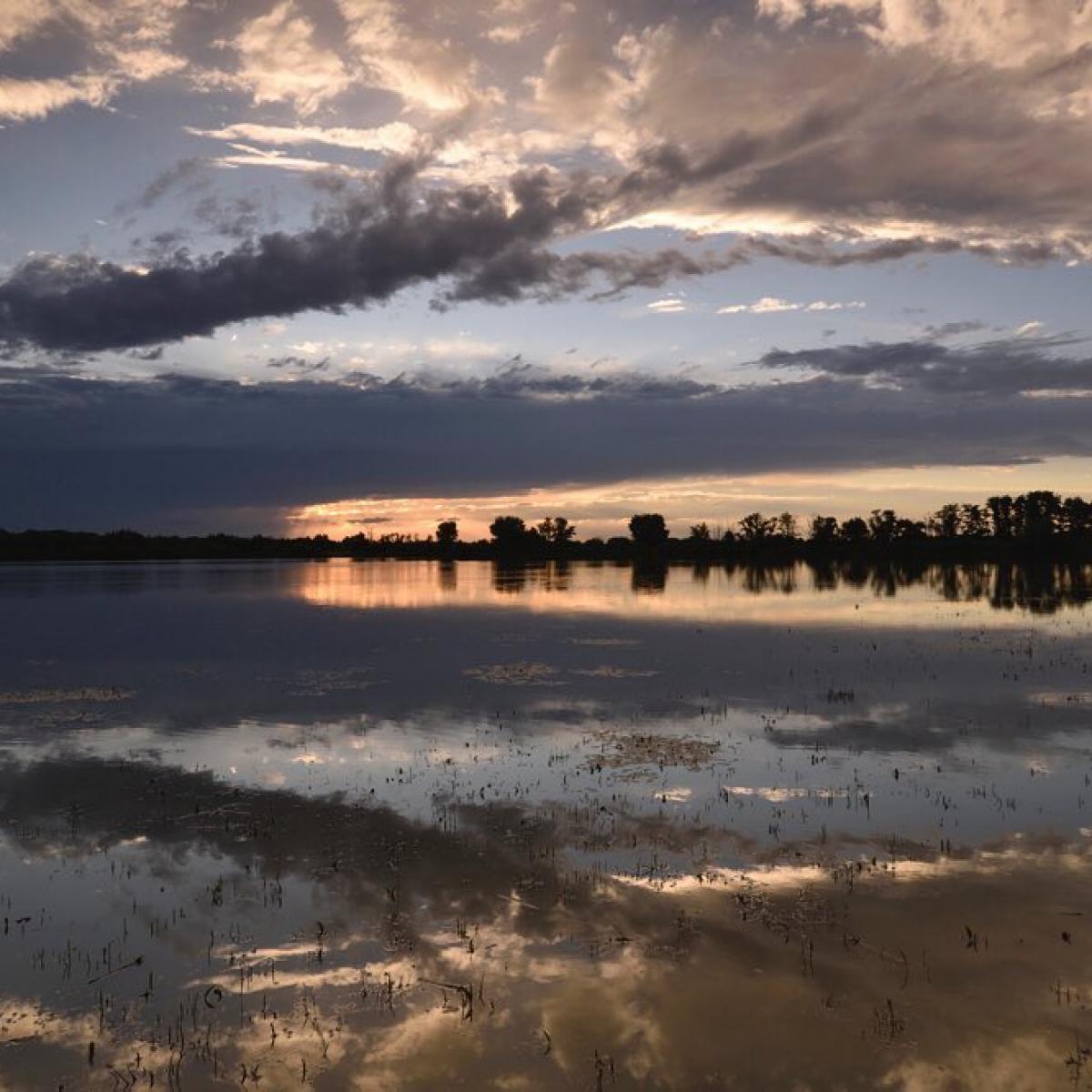 Bienvenue ! | Dombes Tourisme - Office de Tourisme de la Dombes