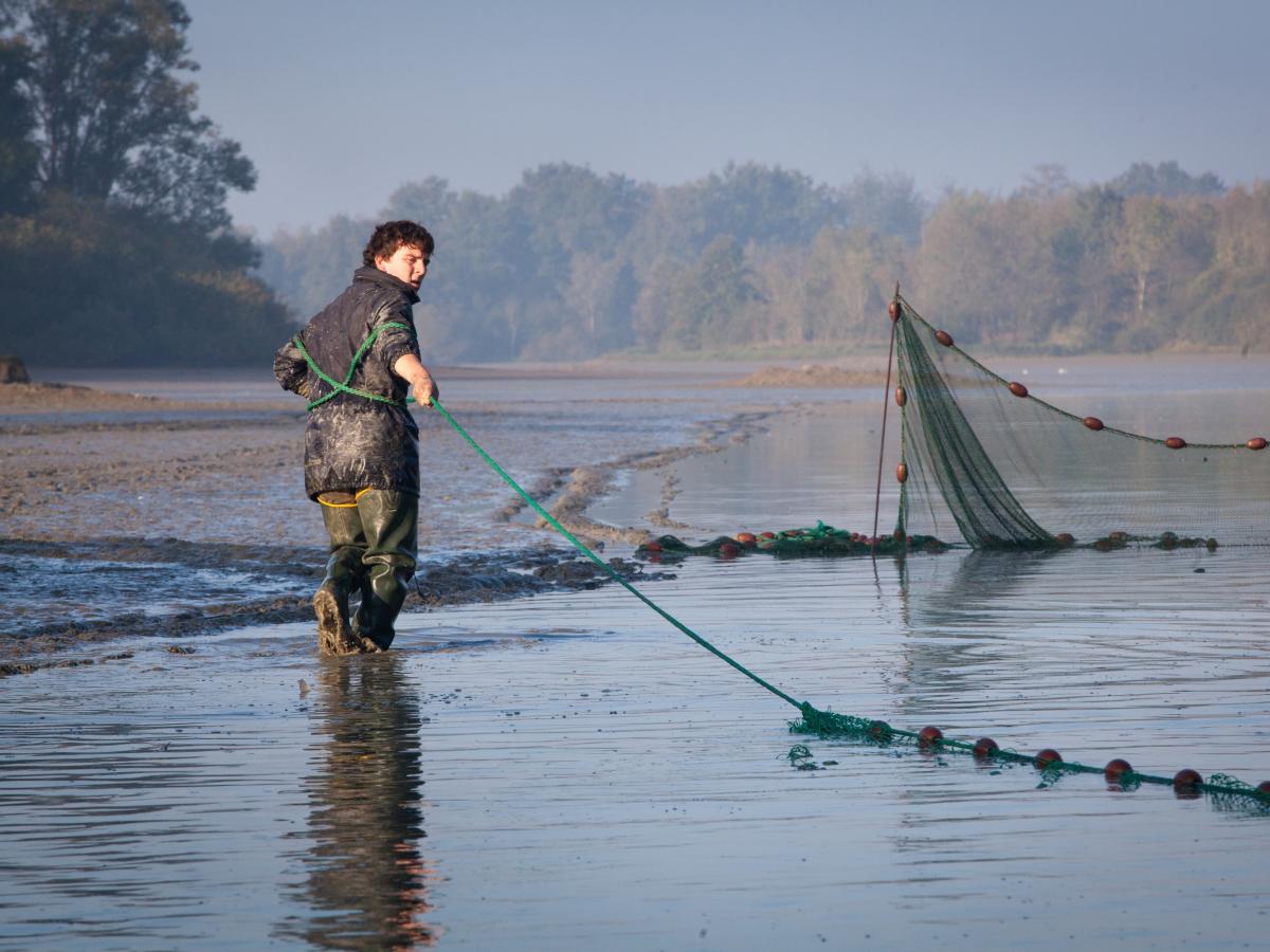 Les pêches d’étang en Dombes | Dombes Tourisme – Office de Tourisme