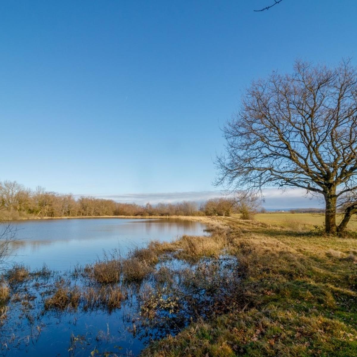 Bienvenue ! | Dombes Tourisme – Office de Tourisme de la Dombes