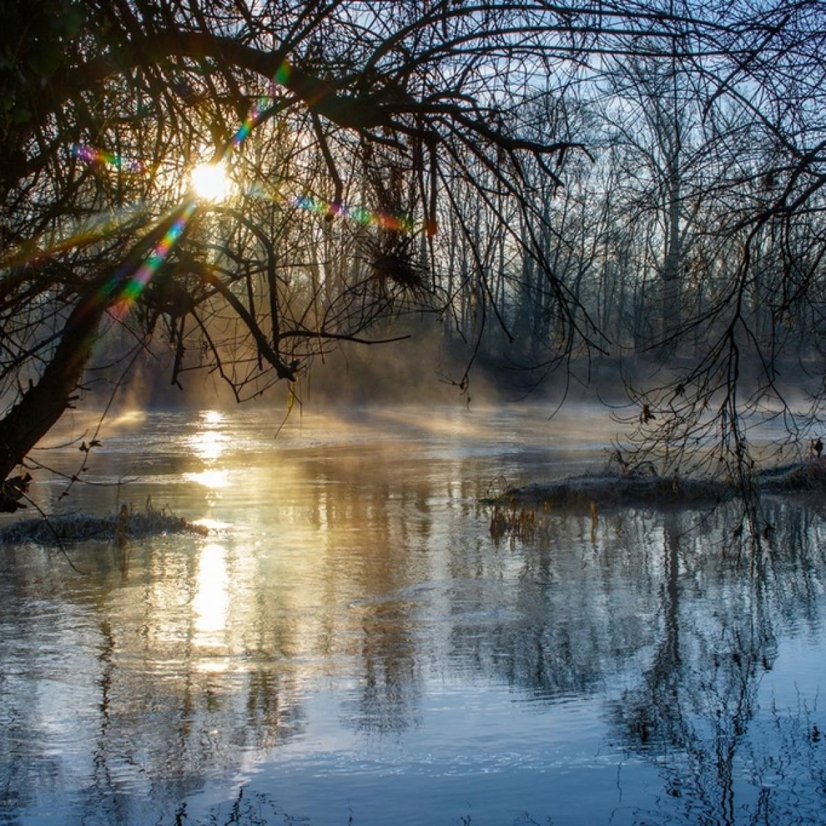 Bienvenue ! | Dombes Tourisme – Office de Tourisme de la Dombes