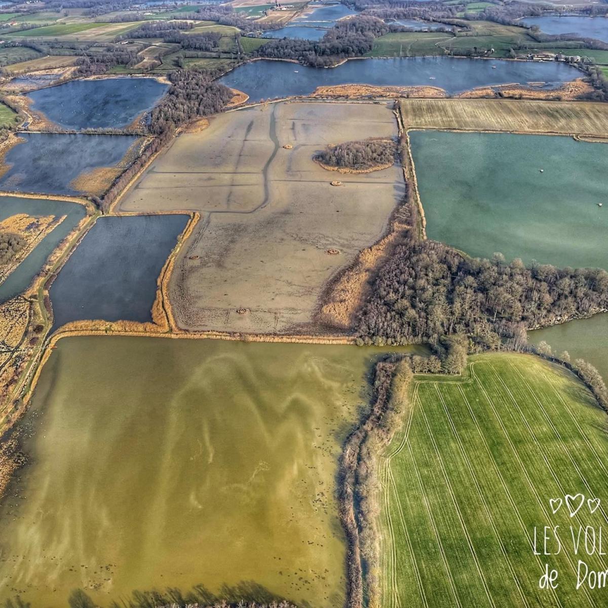 Bienvenue ! | Dombes Tourisme – Office de Tourisme de la Dombes