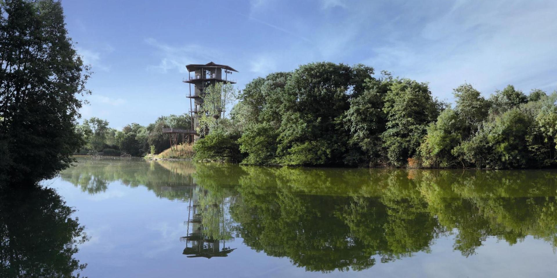 La Dombes et ses incontournables