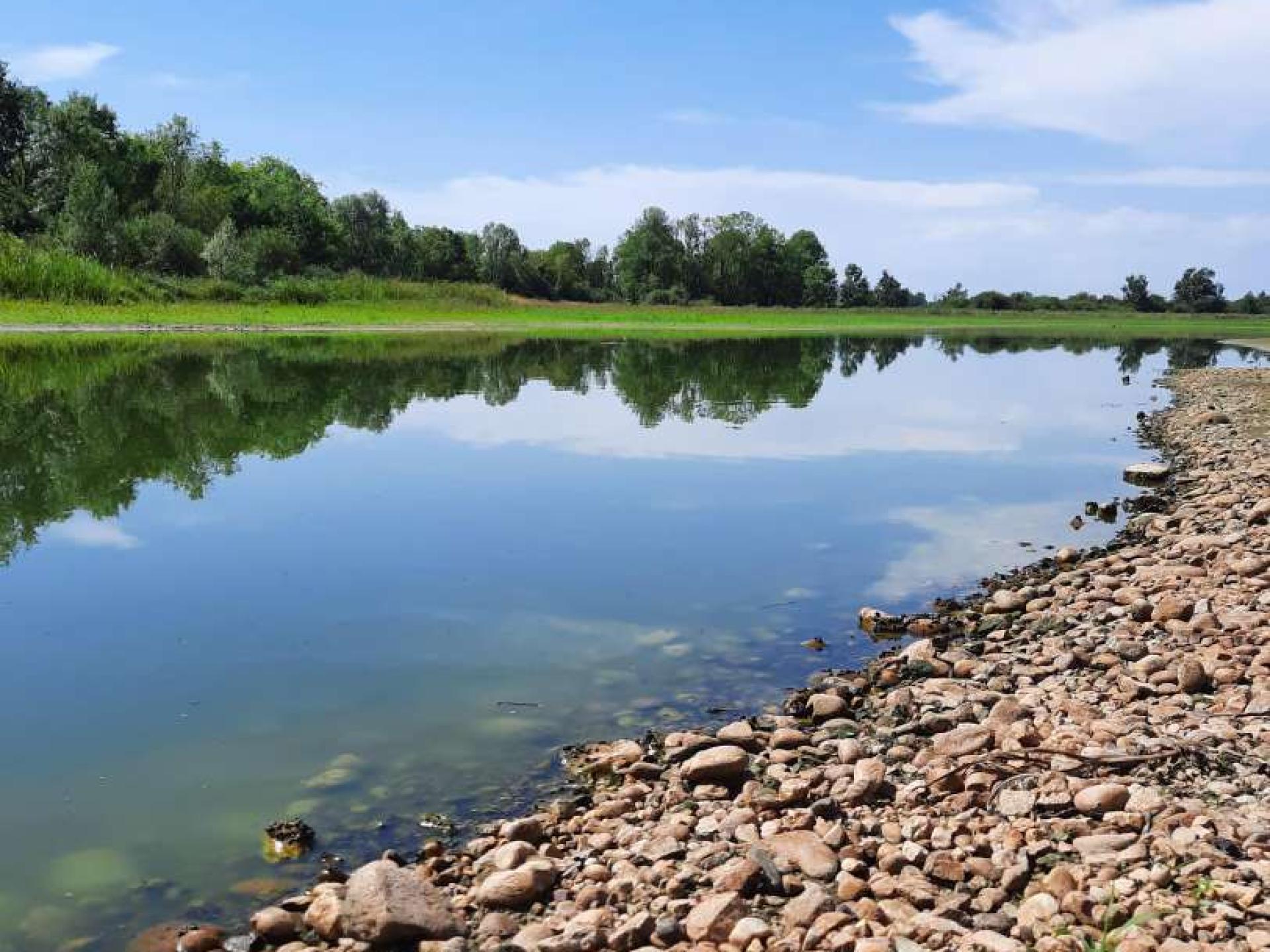 Etang Turlet | Dombes Tourisme – Office de Tourisme