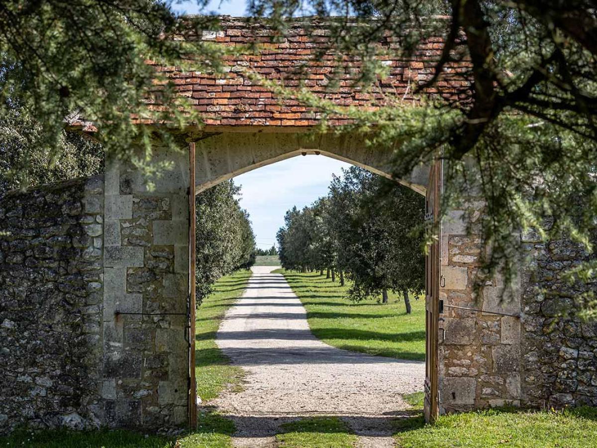 Déguster du bon vin et chiner des merveilles au Château de Fayolle ...