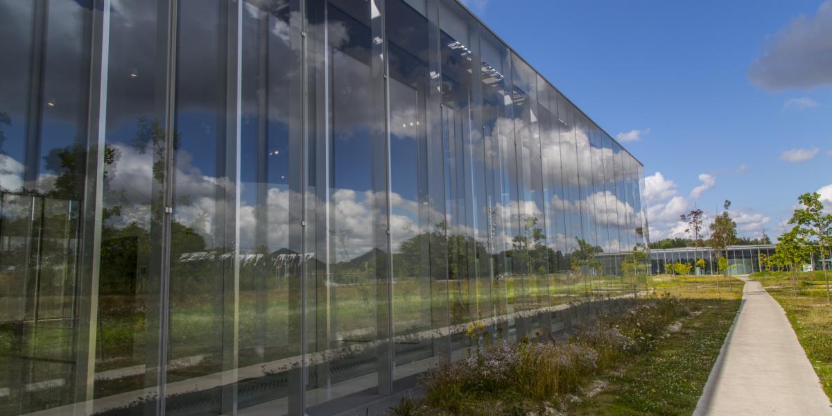 Musée du Louvre-Lens, l’art à l’honneur | Douaisis Tourisme