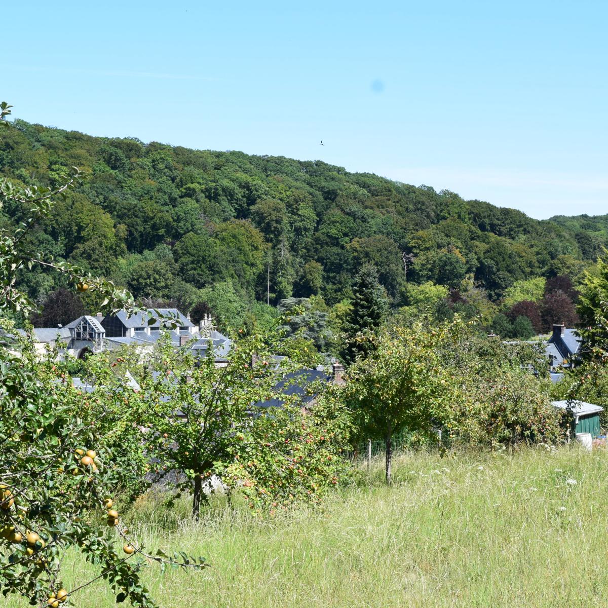 Les Calètes Fécamp 2025 – Vallée De Fécamp Histoire – FZPY