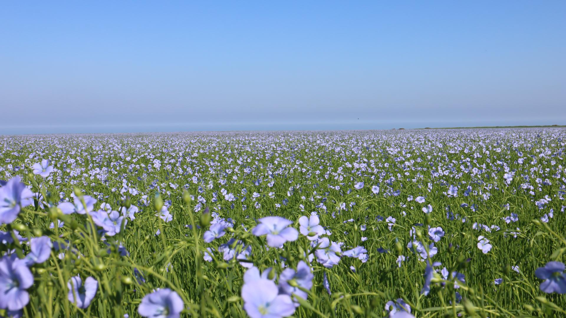 Randonnées sur le GR21 | Office de Tourisme de Fécamp