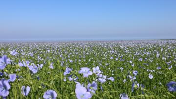 Randonnées sur le GR21 | Office de Tourisme de Fécamp