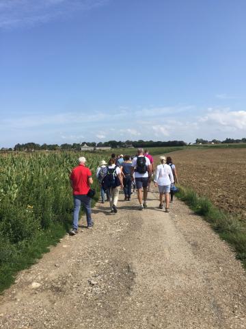 Randonnées sur le GR21 | Office de Tourisme de Fécamp