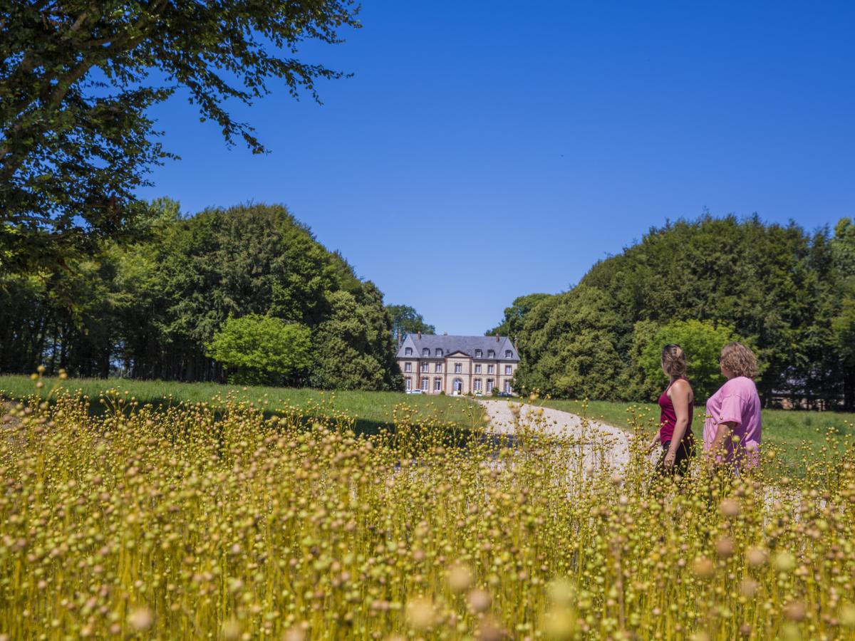 Top 5 of the most beautiful hikes | Office de Tourisme de Fécamp