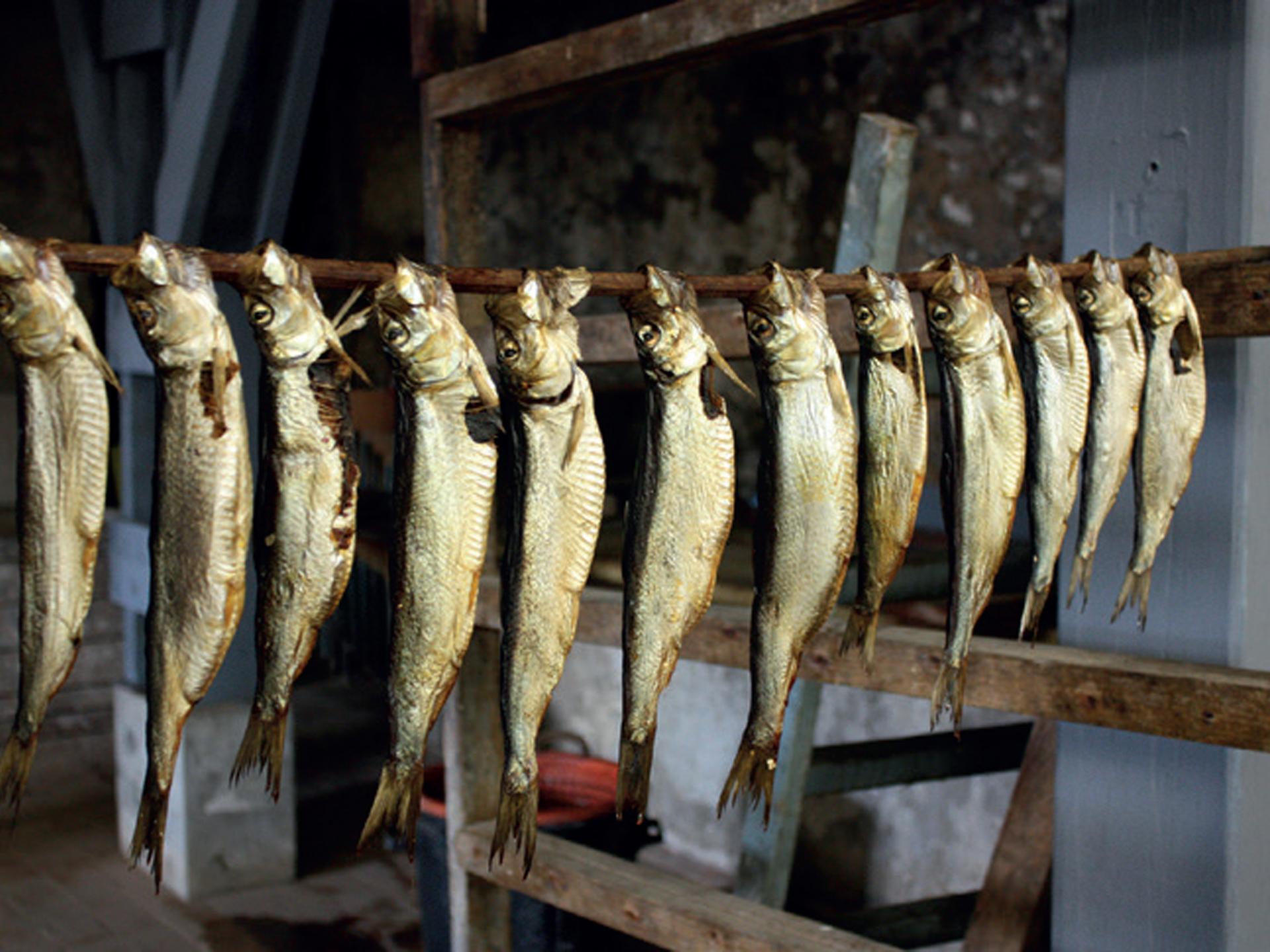 The Norman heritage | Office de Tourisme de Fécamp