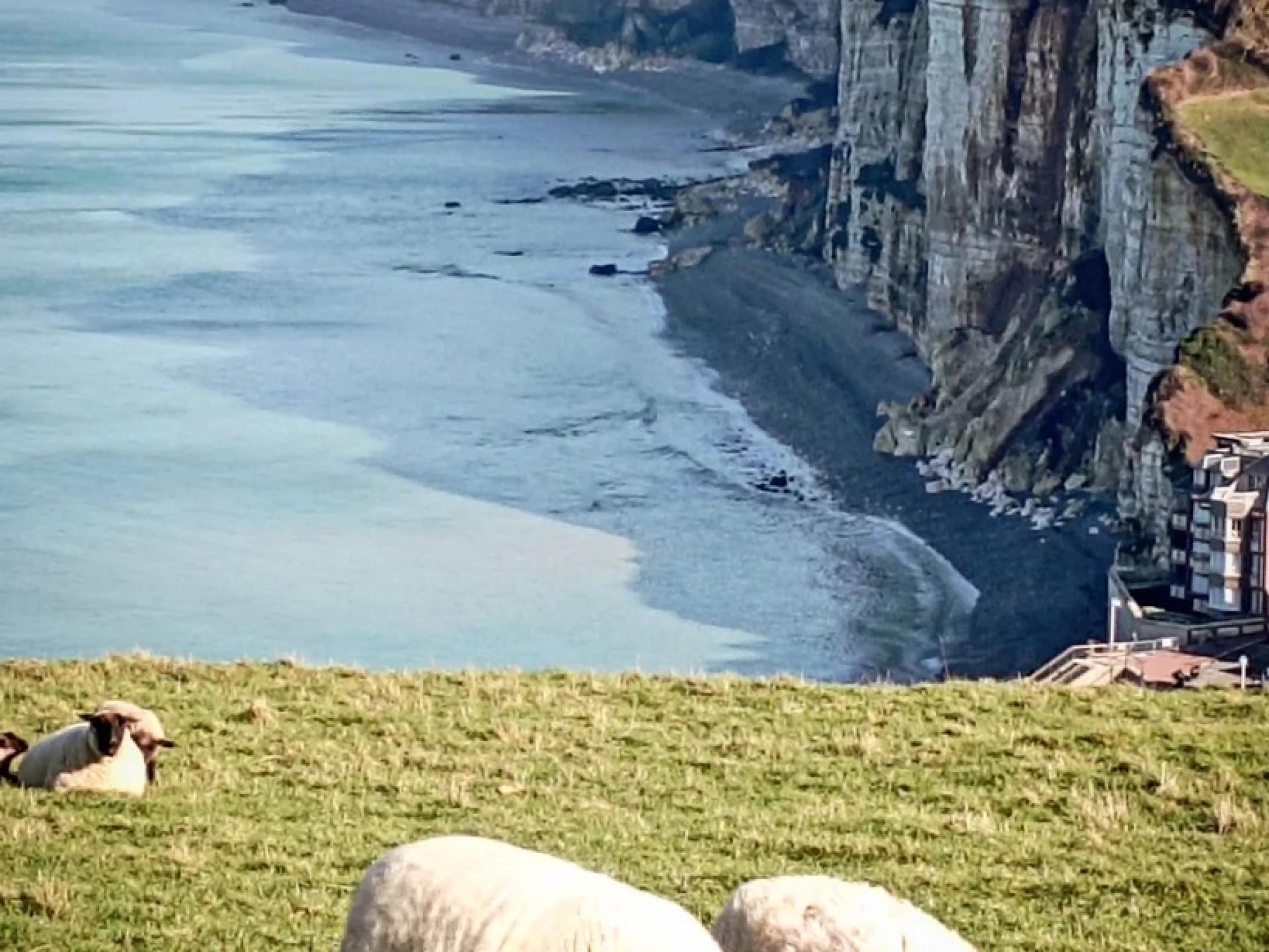 Top 5 of your memories of Fécamp | Office de Tourisme de Fécamp