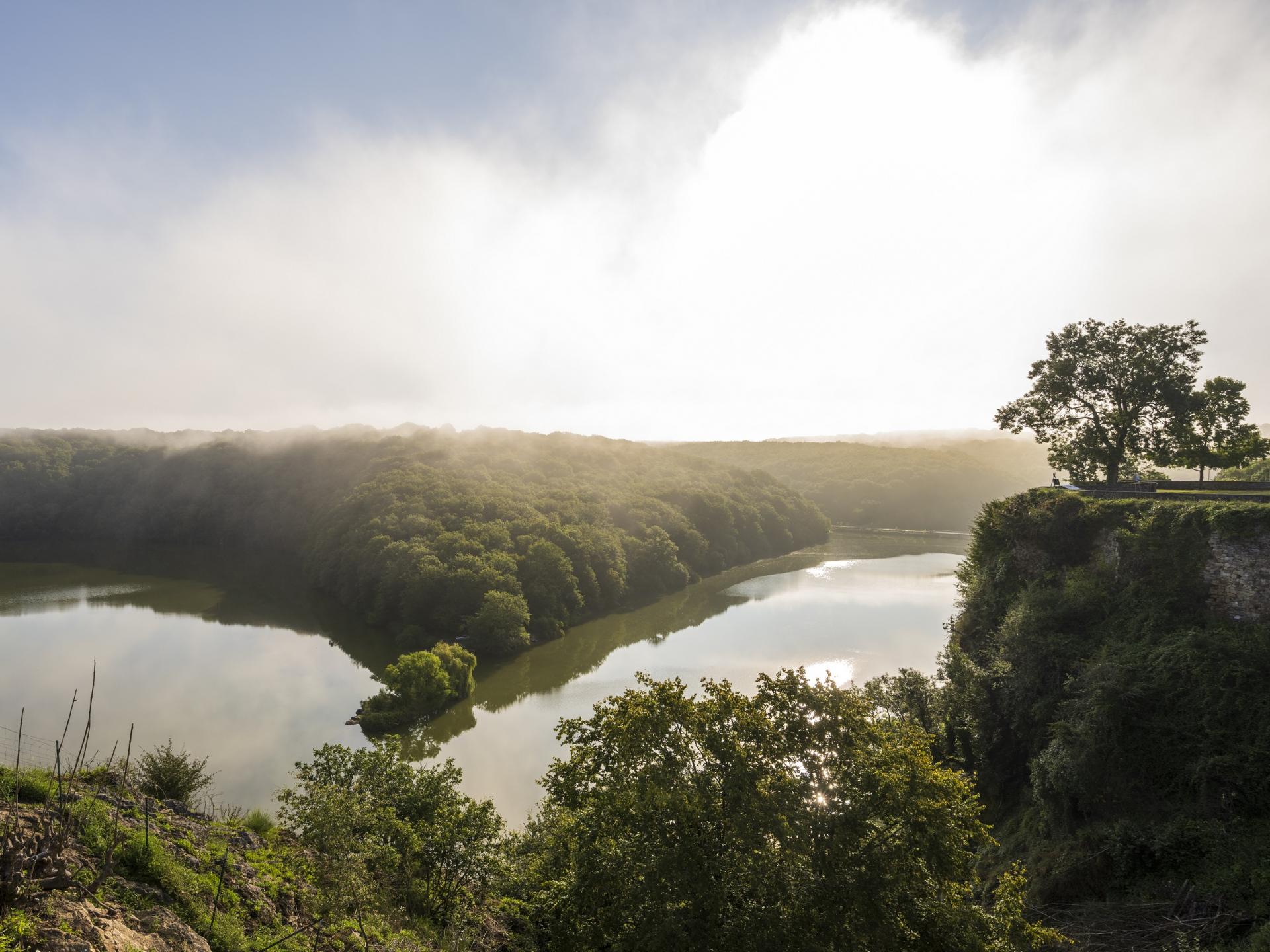 Découvrir la forêt de Mervent-Vouvant | Office de Tourisme Vendée ...