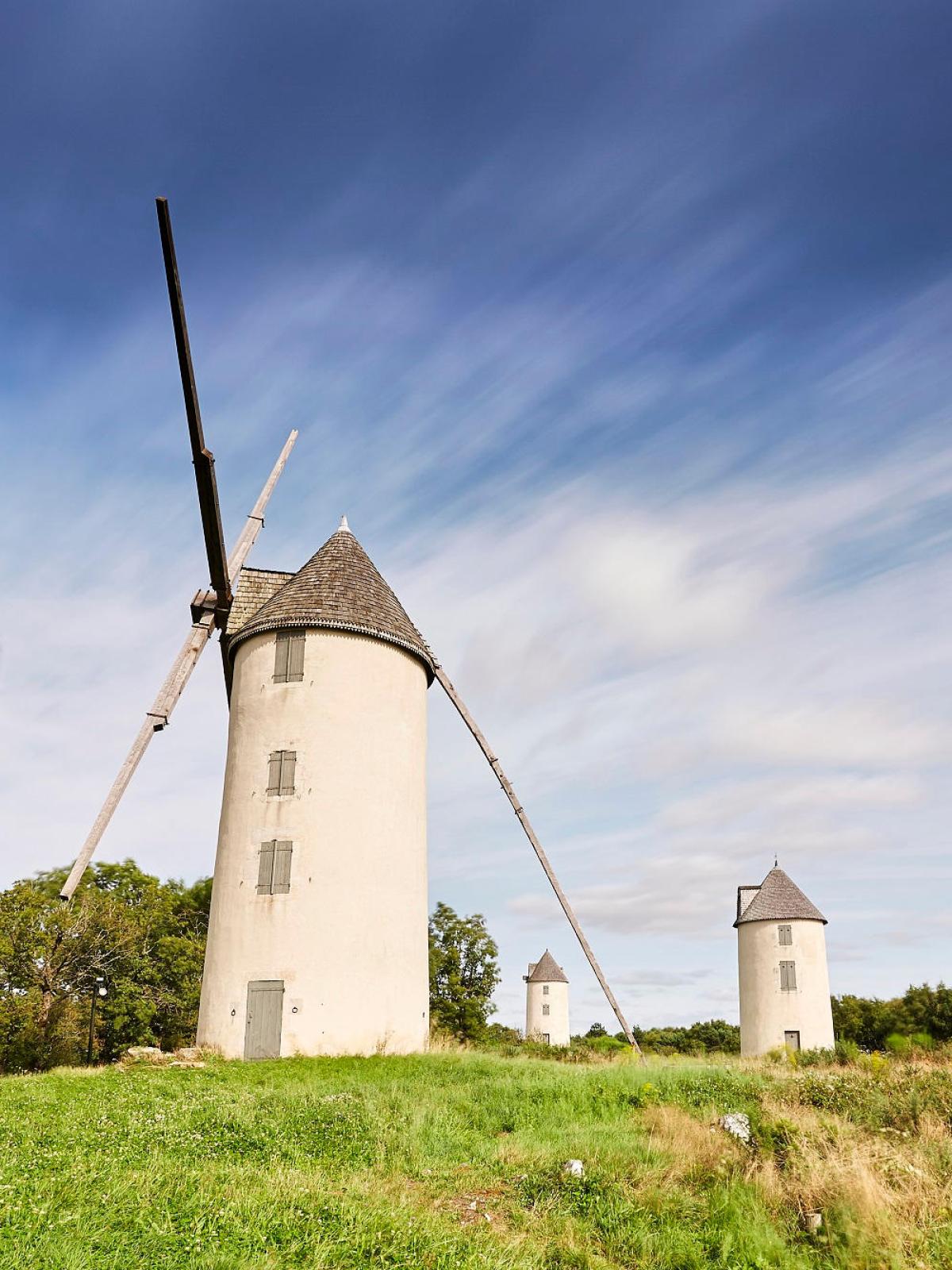 Natur’Zoo de Mervent (Mervent) | Office de Tourisme Vendée Marais Poitevin