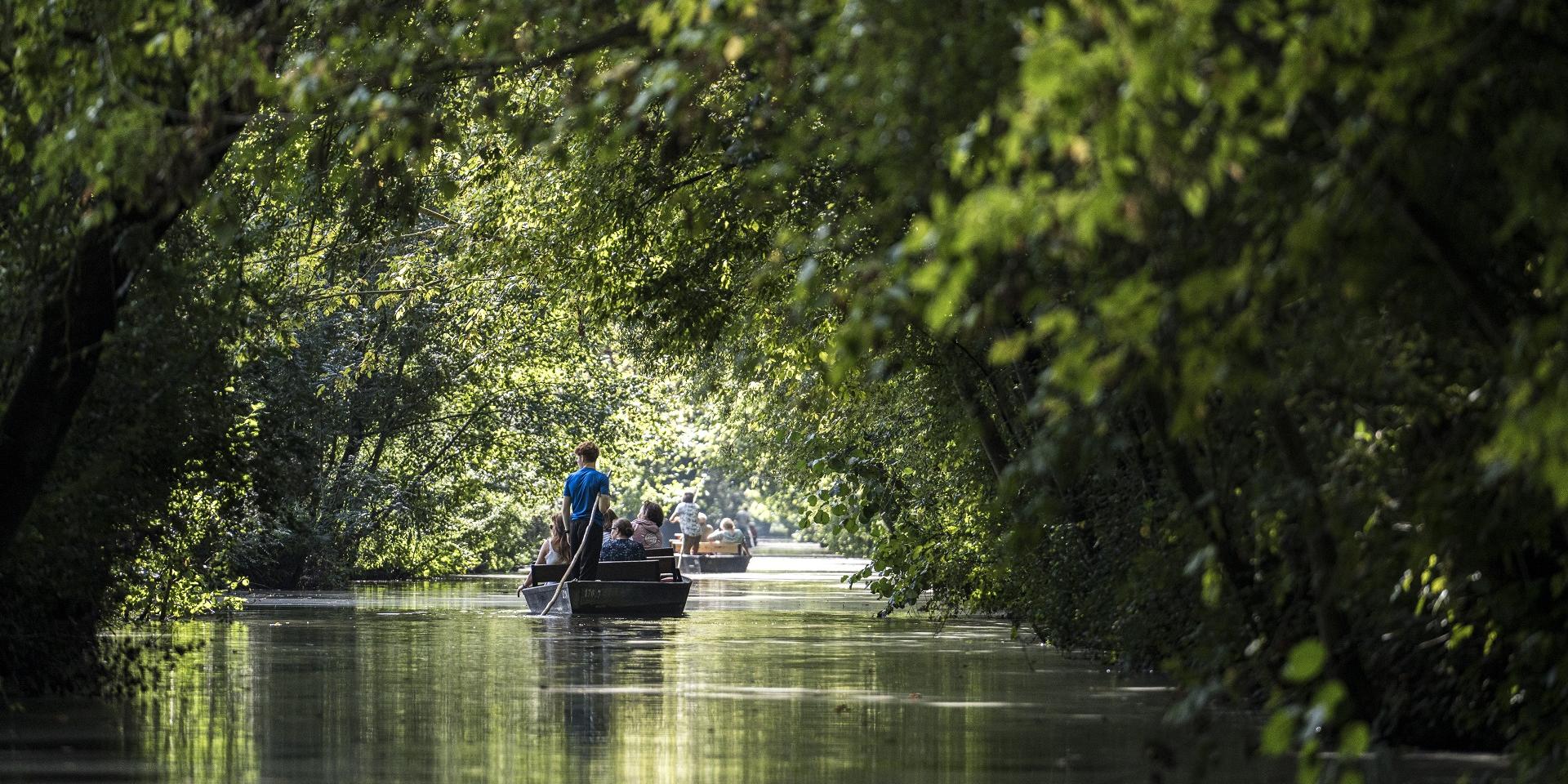 Visiter le Marais poitevin | Office de Tourisme Vendée Marais Poitevin