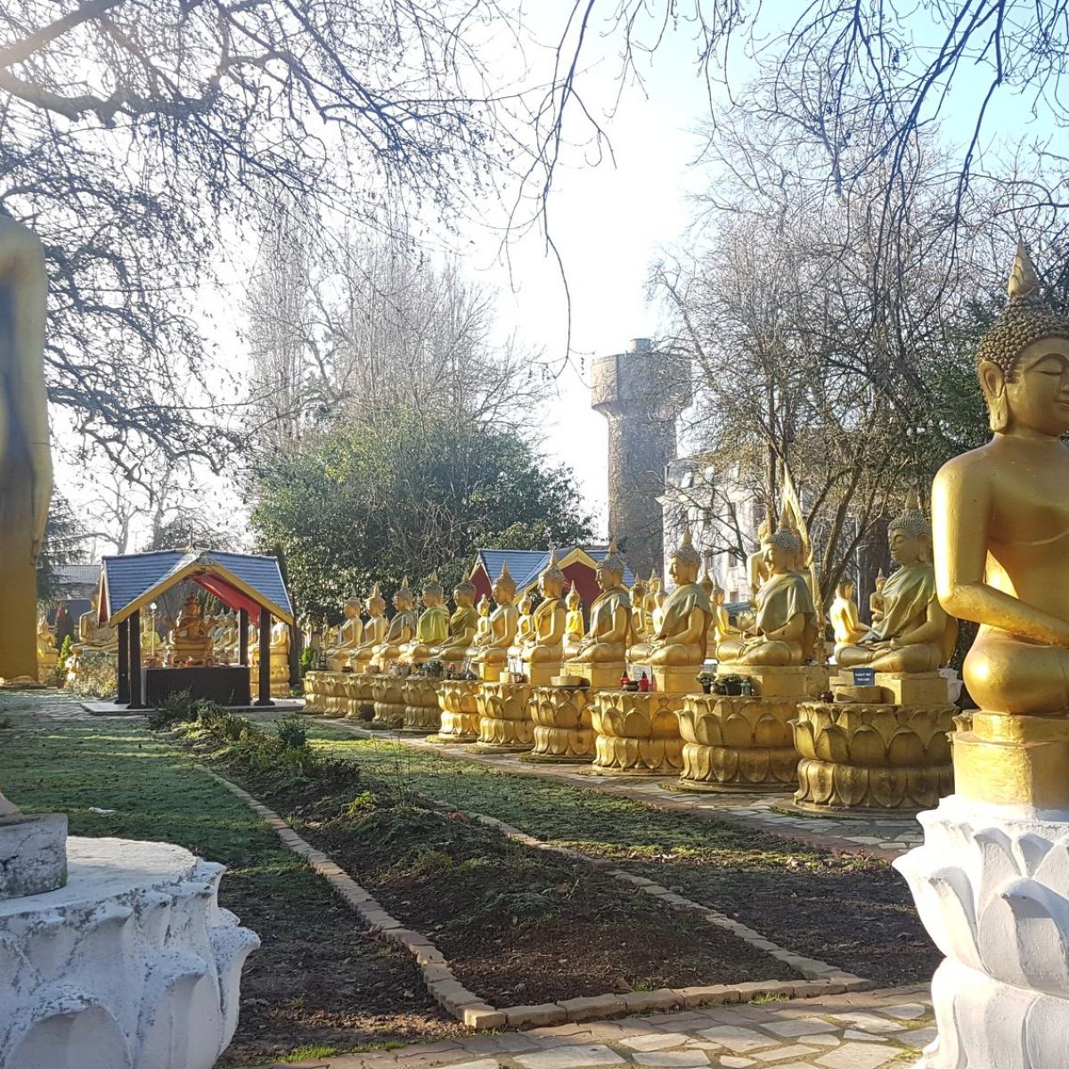 Forêt de Rougeau | Grand Paris Sud Tourisme