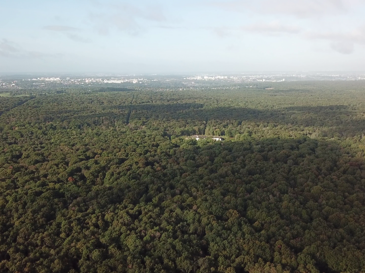 Les Macarons de Réau (Réau) | Grand Paris Sud Tourisme
