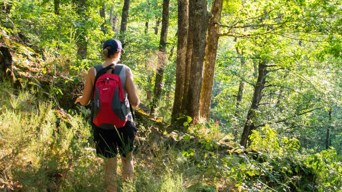 Auténtica Segala | Turismo Figeac, Valles del Lot y del Célé