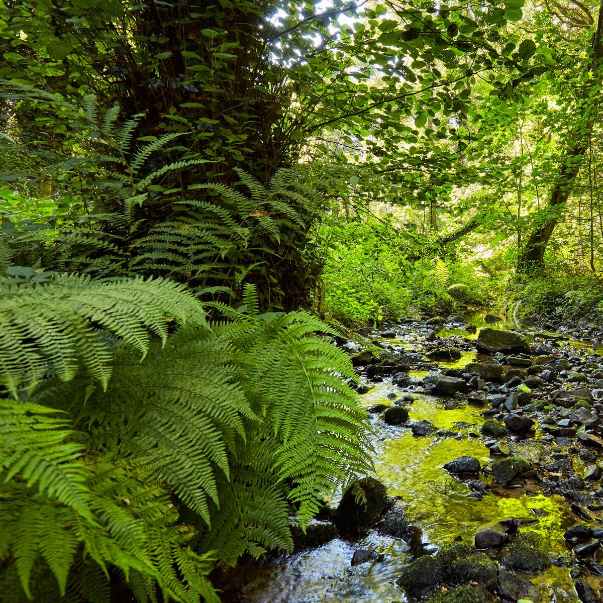 Key facts and figures | Destination Granville Land and Sea