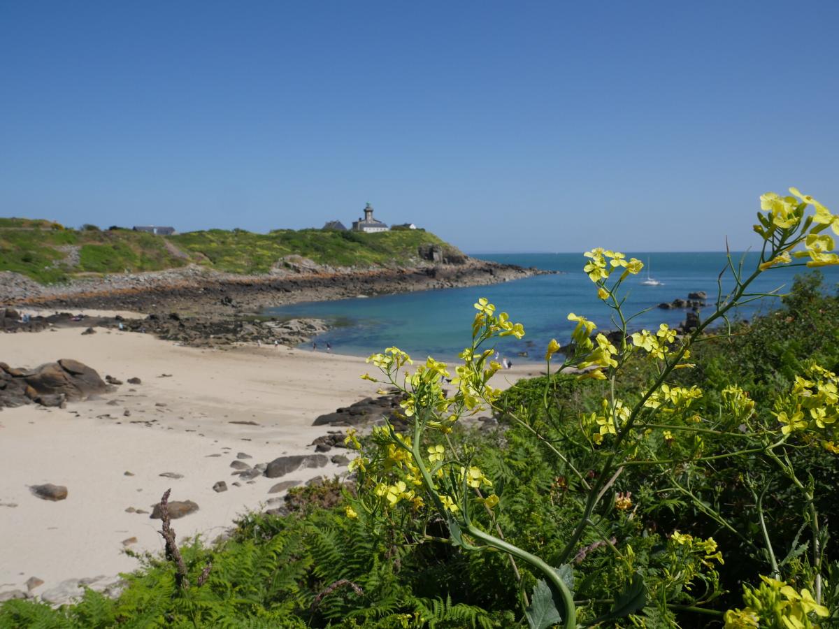 L’archipel de Chausey | Destination Granville Terre et Mer