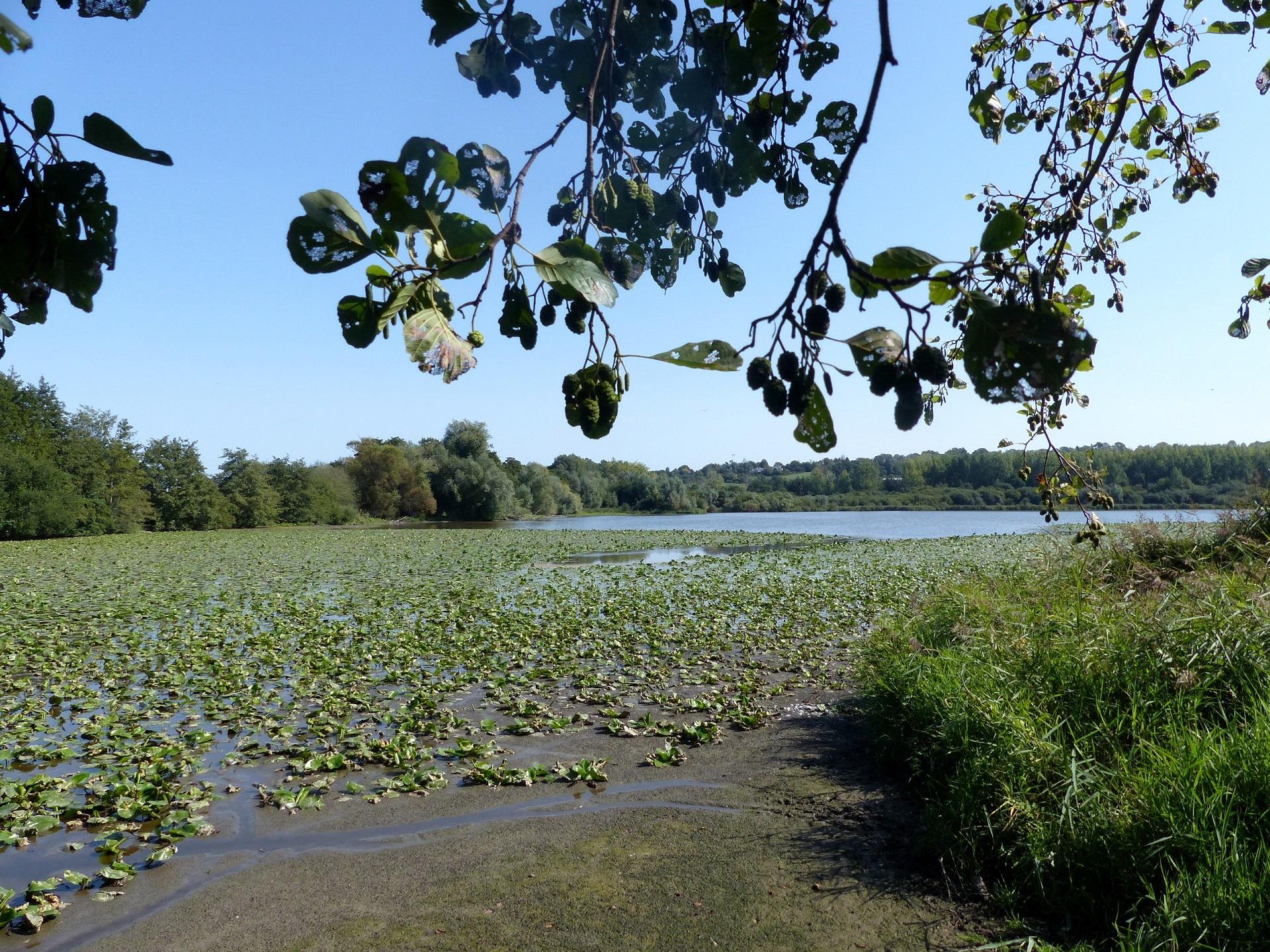 La mare de Bouillon | Destination Granville Terre et Mer