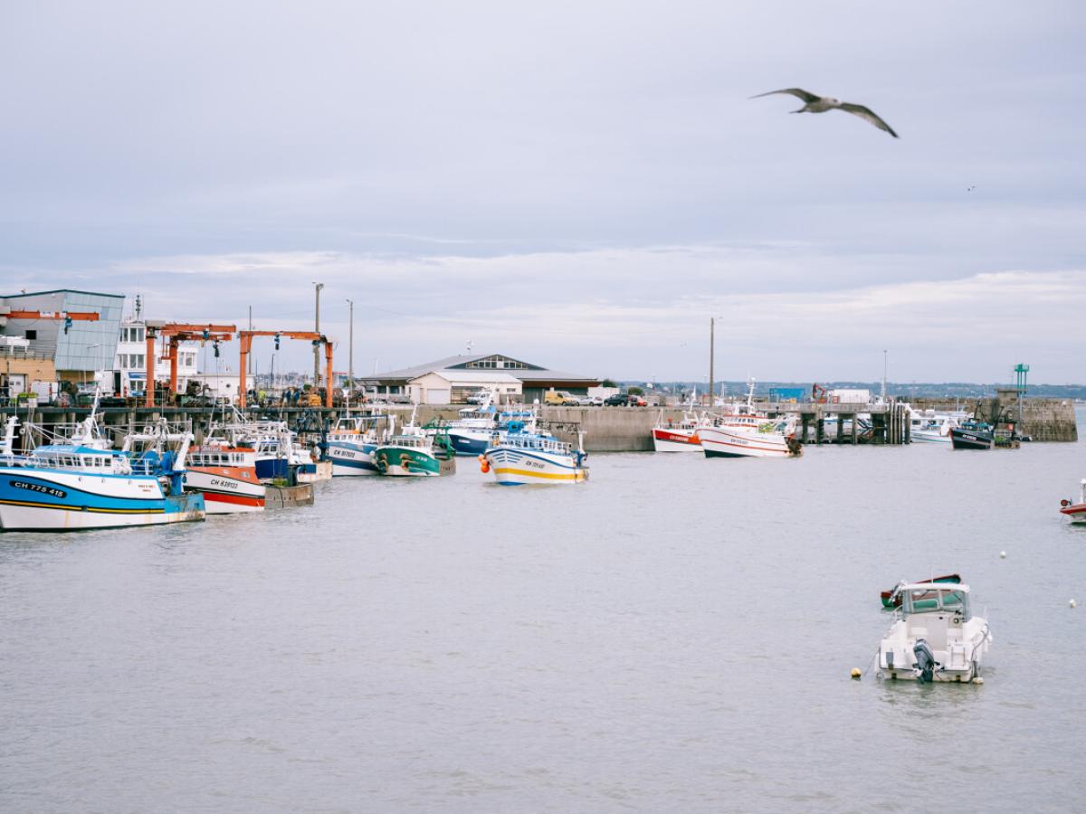 The fishing port of Granville | Destination Granville Land and Sea