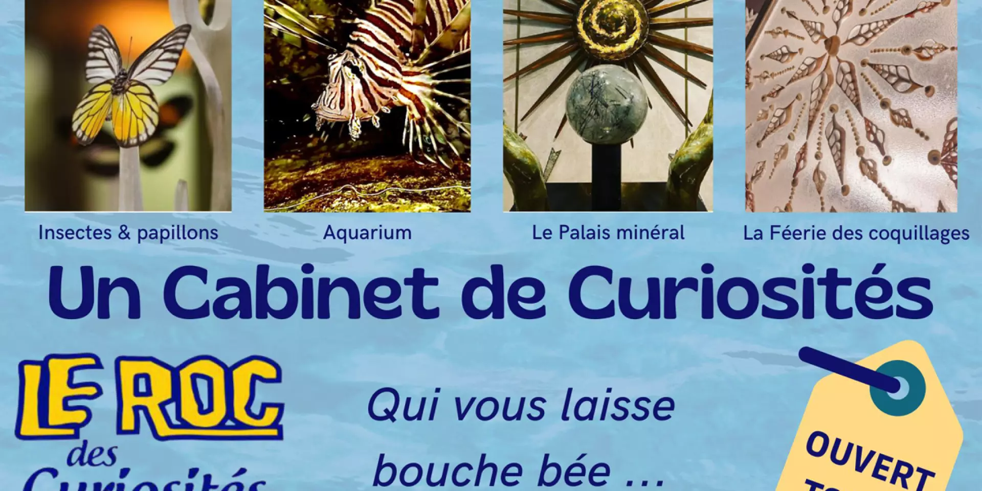 Visite en groupe : Au cœur du Roc | Destination Granville Terre et Mer